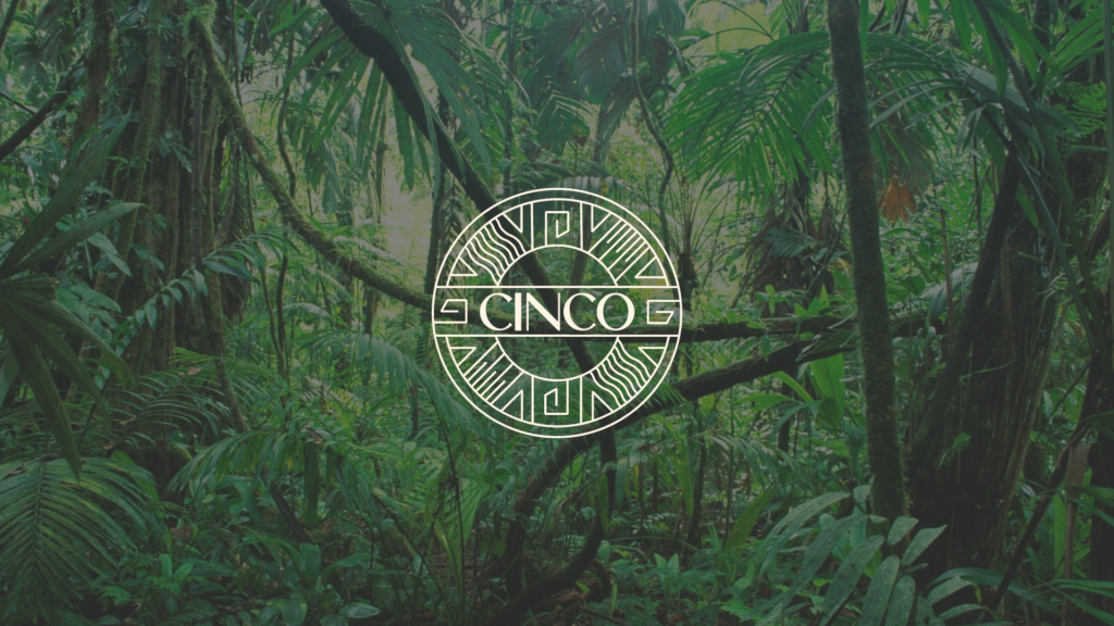 Cinco - Restaurant Cinco