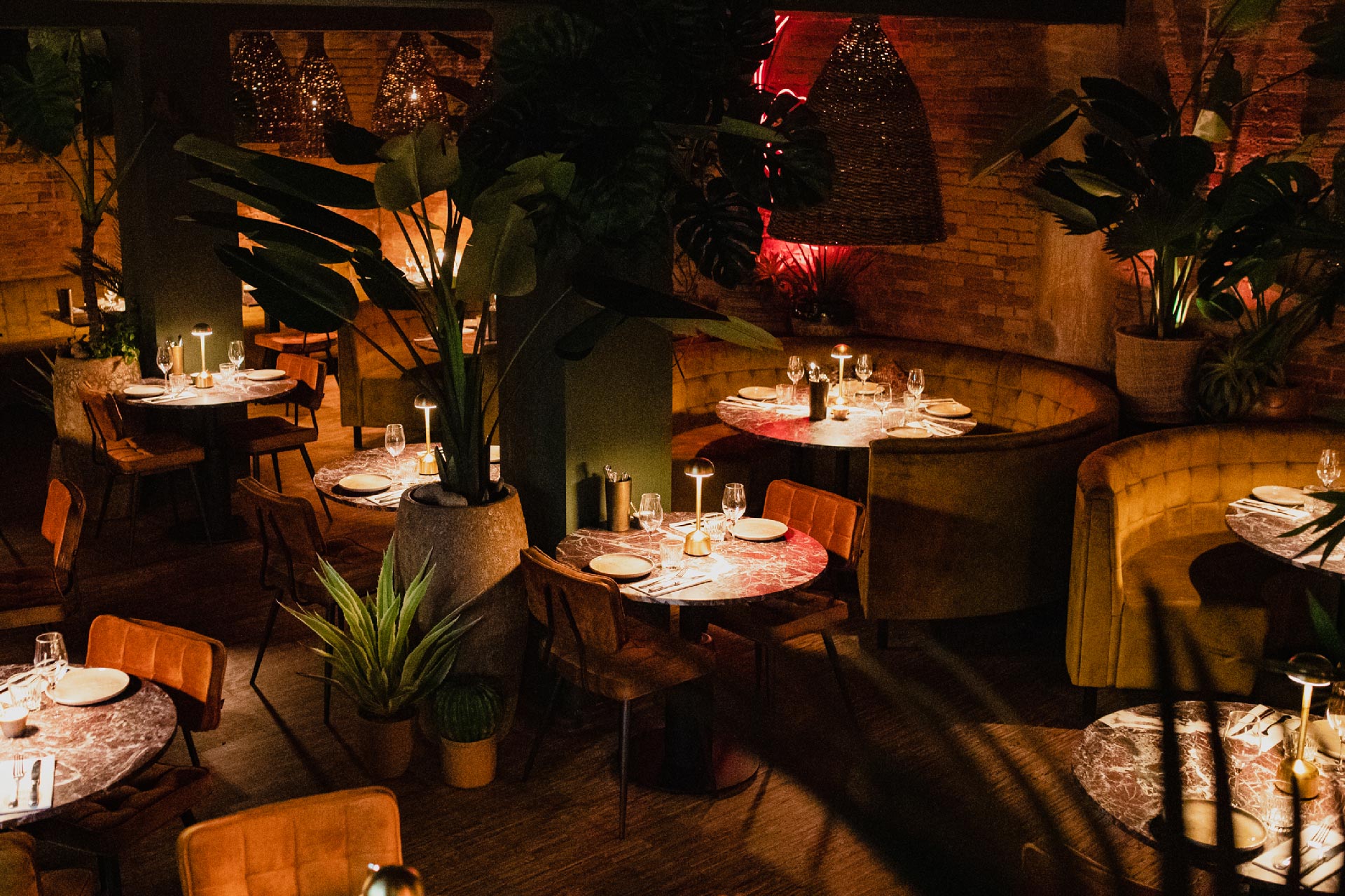Cinco København | Latinamerikansk Restaurant | Book bord →